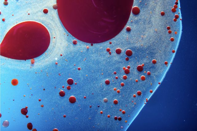 What does your blood say about you? - DOSE